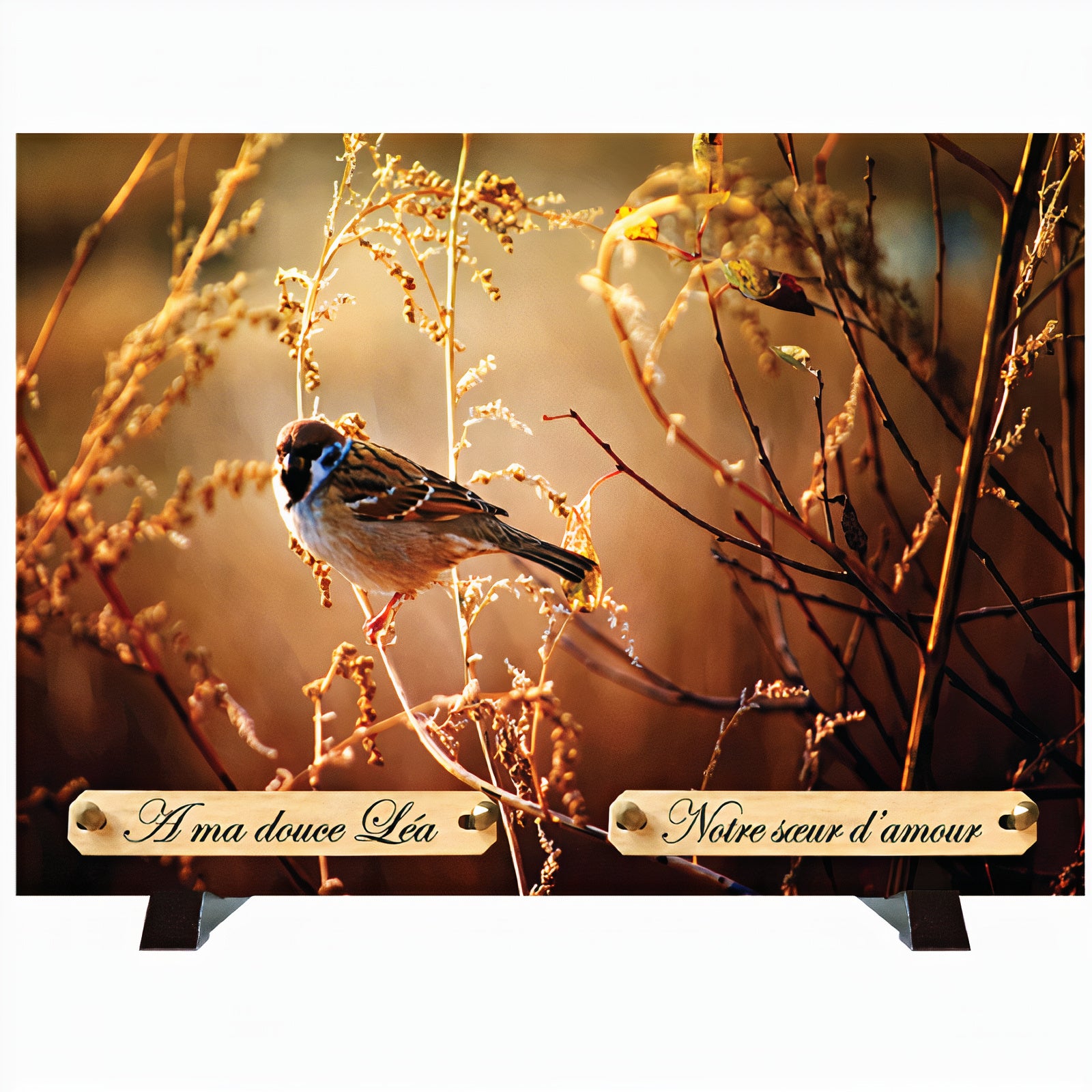 Plaque funéraire Automne & Oiseau – Deuil fleuri